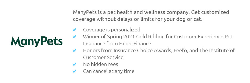 Cheap Pet Insurance Deals 🐶 Apr 2026